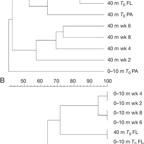 Cluster Analysis Of Eubacterial Dgge Banding Patterns Of A Batch