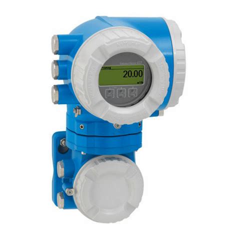 Endresshauser Promass 300 Manuals Manualslib