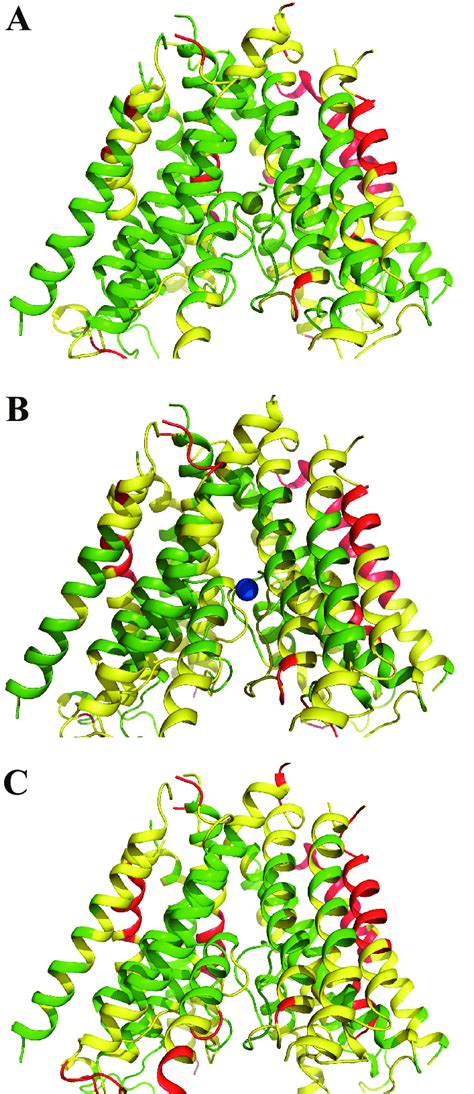 Crystal Structure Targeted Nmdar Tmd Stage 4 Model Color Coded Download Scientific Diagram