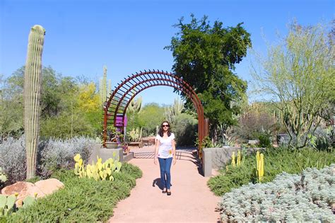 Desert Botanical Garden Phoenix Arizona
