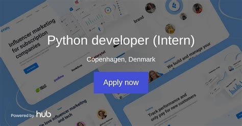The Hub Python Developer Intern Filify