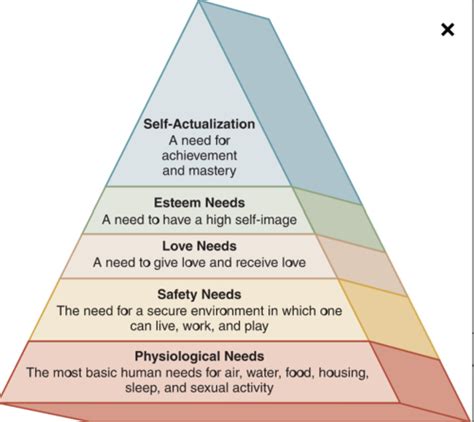 Ati Priority Setting Frameworks Flashcards Quizlet