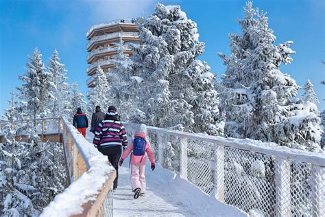 Treetop Walk Bachledka Discover The Tatras From The Treetops