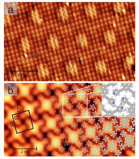 Self Assembly Of 1368 Tetrakispyridin 4 Ylethynylpyrene 1 Tetra Download Scientific