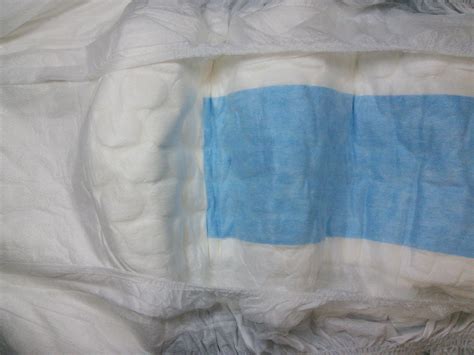 Ddpmodeldottydiaperplainandsimple Camelotian Diaper Wiki