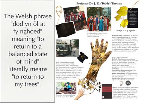 Remembering J E Teddy Thomas 1933 2023 Harp