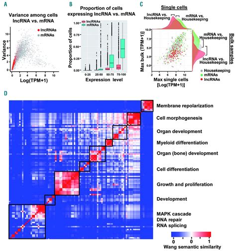 Long Noncoding Rnas Of Single Hematopoietic Stem And Progenitor Cells In Healthy And Dysplastic