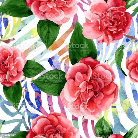 Bunga Botani Bunga Camelia Merah Muda Ilustrasi Latar Belakang Cat Air Diatur Pola Latar