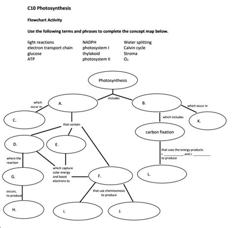C10 Photosynthesis Flowchart Activity Use The Following Terms And