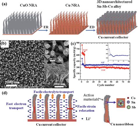 A Schematic Diagram Showing The Fabrication Of 3d Nanoarchitectured