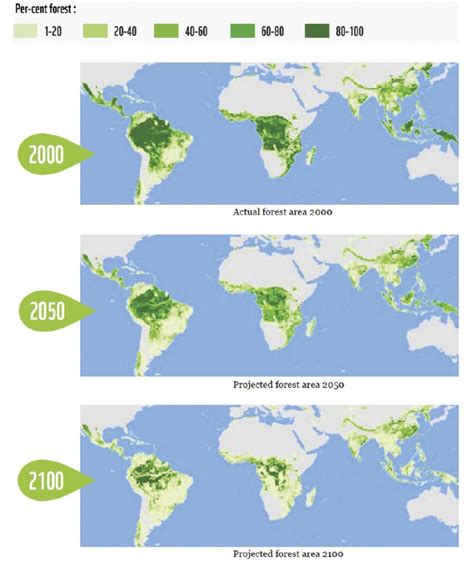 Deforestation Before And After Map How Americans Love Of Beef Is