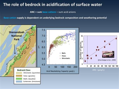 Ppt Ami Riscassi Drew Robison Todd Scanlon Jim Galloway Jack Cosby