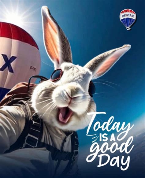 Cynthia Garrison Posted On Linkedin