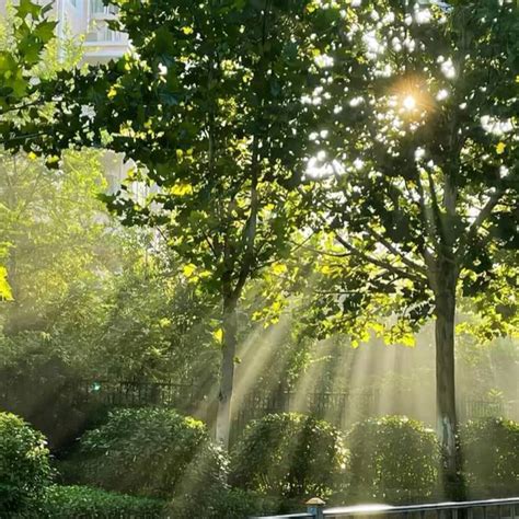 羽毛球传奇李宗伟：69冠军349周世界第一，奥运三连亚被称无冕之王林丹决赛胜利