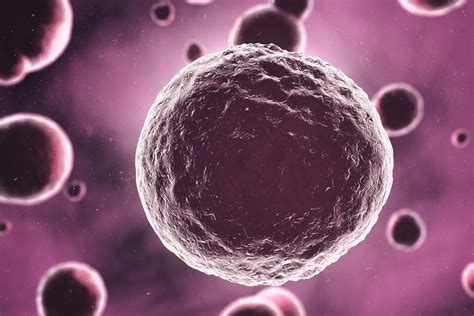 Exosomes Therapy Healthspan Provider