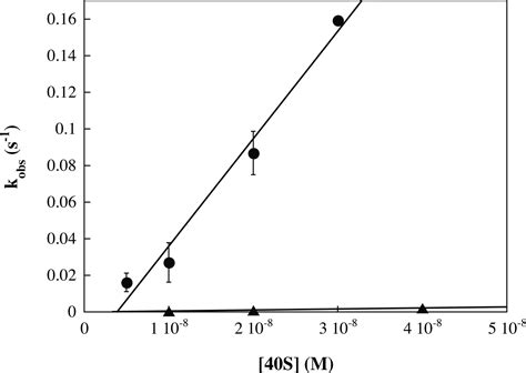 Kinetic And Thermodynamic Analysis Of The Role Of Start Codonanticodon
