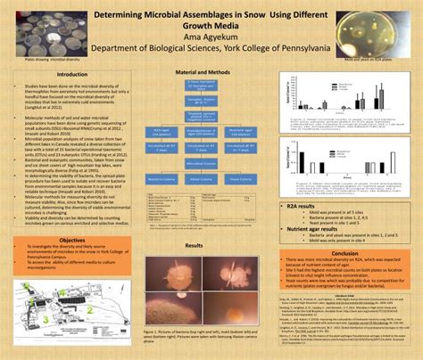Ppt Determining Microbial Assemblages In Snow Using Different G Rowth