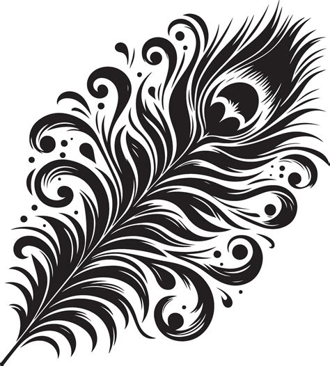 Chic Monochrome Peacock Feather Design 52920337 Vector Art At Vecteezy