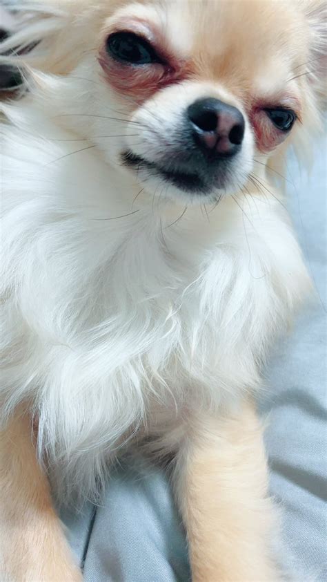 元𓈒 荒木 ありさ🍀 ゜ On Twitter 枕