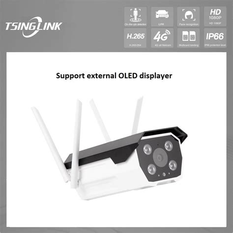 Customization Intelligent External Oled Displayer Number Plate Recognition Lpr Cctv Ir Bullet