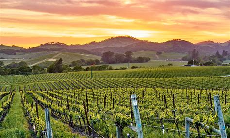 Alojamientos Vacacionales En Napa Valley California Airbnb