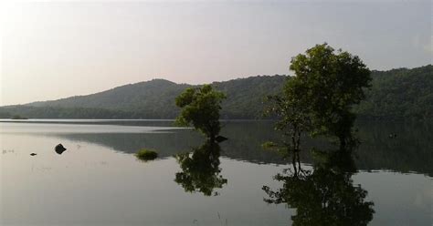 Becky Moss Brighton United Kingdom Moss Communications About Me