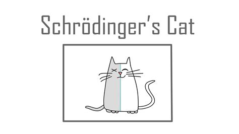 Erwin Schrödinger Wallpapers Wallpaper Cave