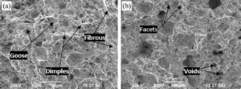 Scanning Electron Microscope Micrographs Of Fracture Surface Of