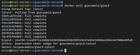 cách cài đặt apache guacamole qua docker trên ubuntu 22 04