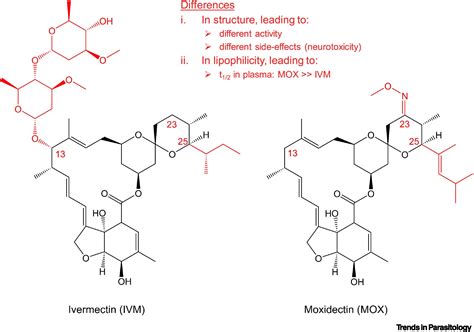 Moxidectin And Praziquantel At Robert Goldsmith Blog