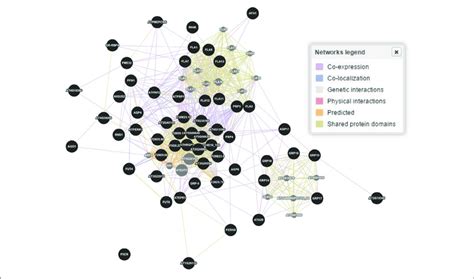 Gene And Interaction Networks For Molecular Functioning Of Genes