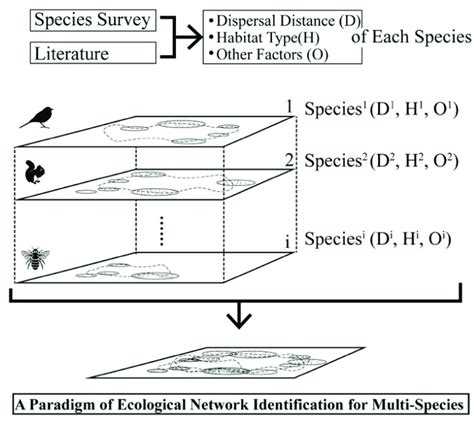 A Paradigm Of Ecological Network Identification Of Multiple Species