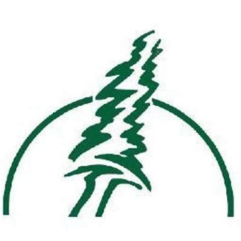 Pinecrest Baptist Bible Camp Homepage