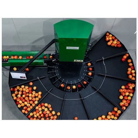 Food Grade Automatic Apple Grading Machine 3000 Kghr At Rs 1500000 In New Delhi