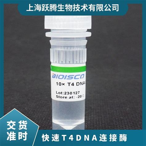 伊势久生物 快速t4 Dna连接酶 200u 1000ufast T4 Ligase 产品关键词快速t4连接酶t4快速连接酶t4连接酶、dna快速连接酶快速t4伊势久生物t4