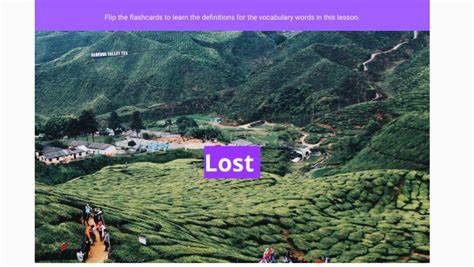 L1 Finding Nemo Flashcard