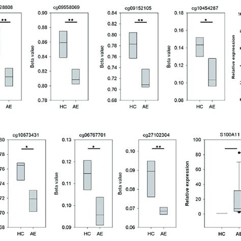 The Variations Of Cpg Dinucleotide Methylation And Gene Expression