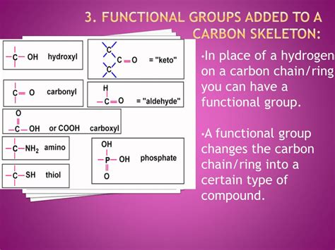 Ppt Chapter 3 Macromolecules Of Life Powerpoint Presentation Free