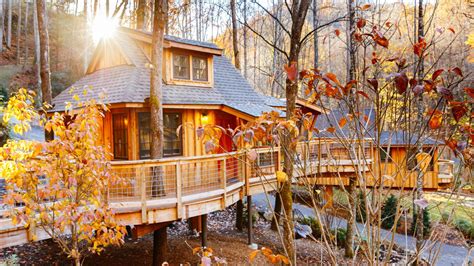 Discover The Unique Features Of Staying In A Treehouse Treehouse