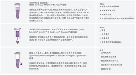 为什么核酸纯化做不好？看完这些原因别再深夜 Emo 丁香园