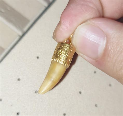 An Antique Tiger Tooth And 24k Gold Pendant Heirloom Rjewelry
