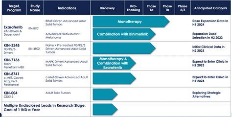 Kinnate Bio Novel Approach To Braf Class Ii And Iii But Uninspiring Data Nasdaq Knte