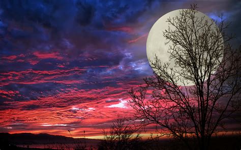 [100 ] Beautiful Moon Pictures