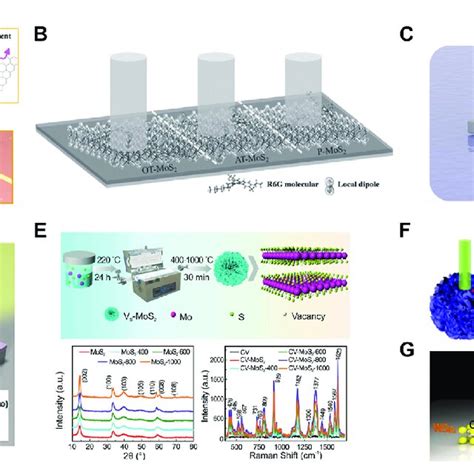 A Gate Voltage Modulated Sers On Graphene Xu Et Al 2011b