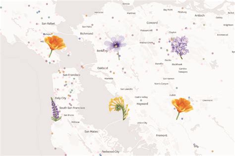 California Super Blooms Map Shows Locations Of Wildflower Sightings
