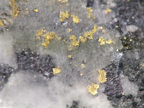 Gold Mineral Specimen For Sale