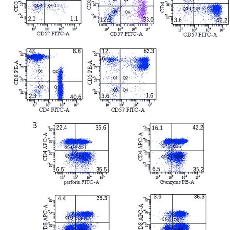 Pdf T Cell Large Granular Lymphocytic Lgl Leukemia Consists Of Cd4 Cd8dim And Cd4 Cd8 Lgl