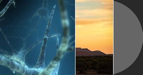 List Deep Learning And Neural Network Curated By Zarfa Masood Medium