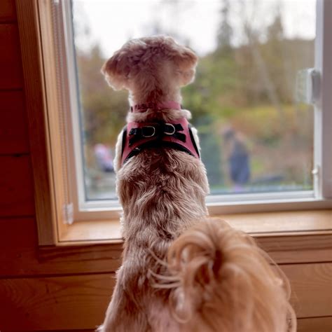 We Have Seeds To Plant — Andrew David Wright