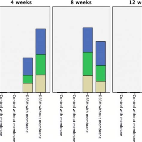 Histomorphometric Analysis Of The Proportion Of “demineralized Bovine